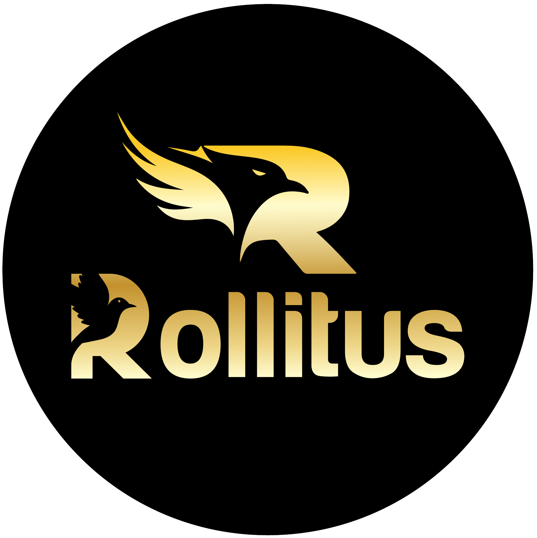 Brand Positioning Rollitus Brand Positioning Rollitus
